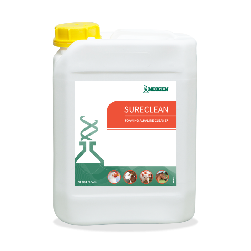 Sureclean | Egyptian International Group