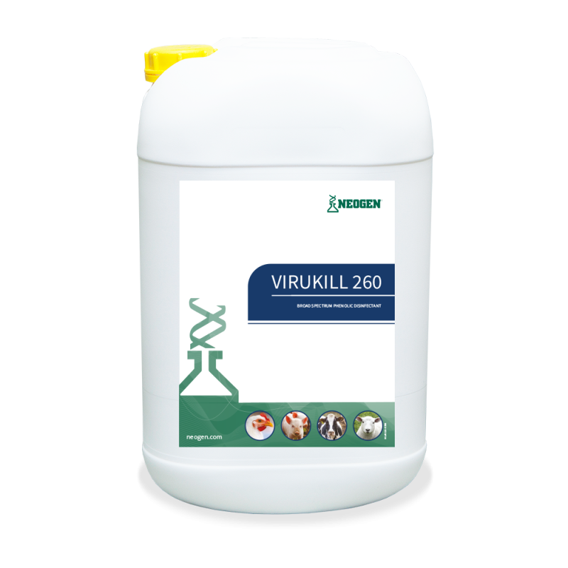 Import | Egyptian International Group