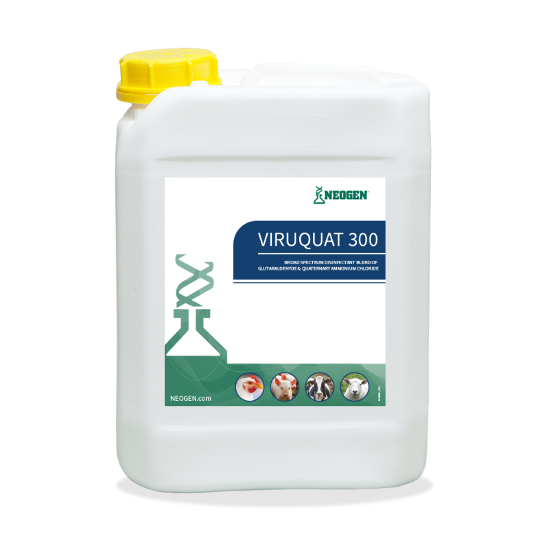 Import | Egyptian International Group